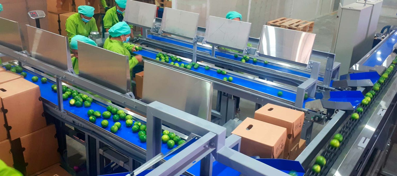 El Proceso - Citrus Pack Colombia