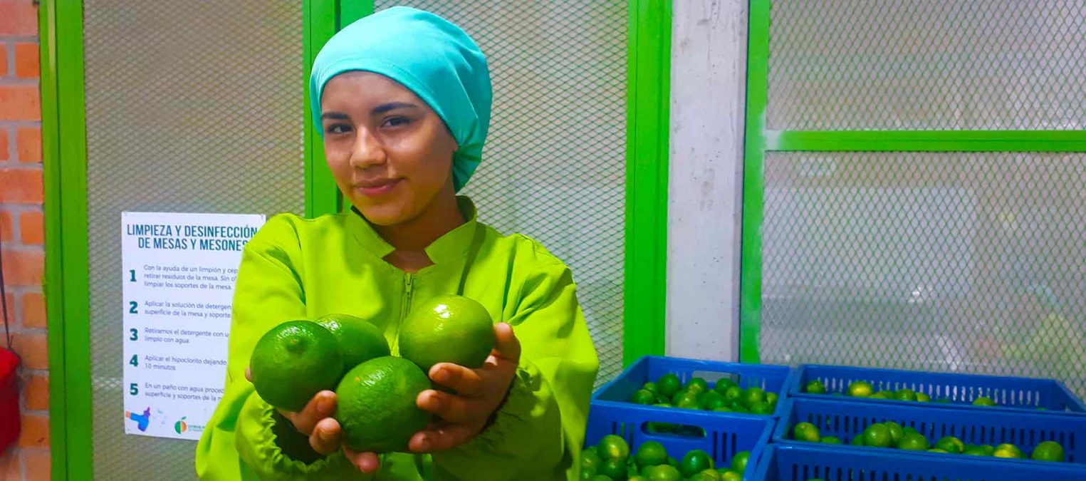 Contacto - Citrus Pack Colombia